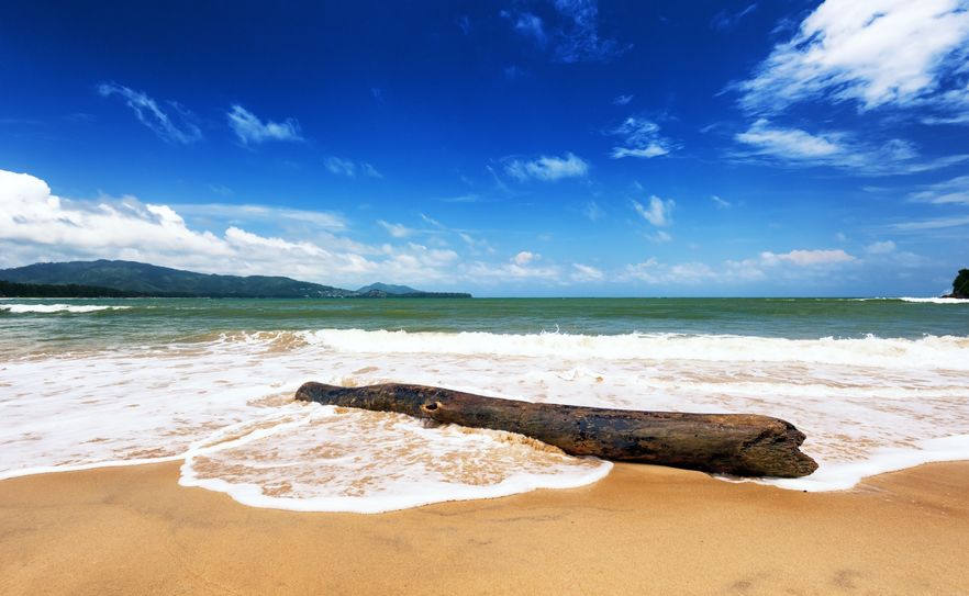 The Tide is Turning | Wholehearted Women